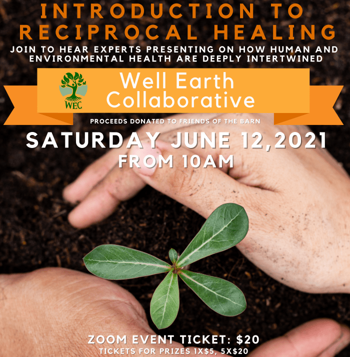 Welcome to Well Earth Collaborative | Reciprocal Healing for those ...